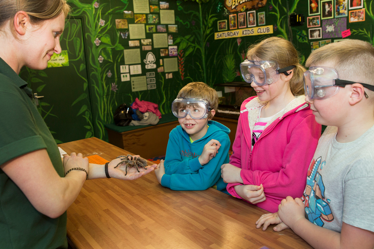 Save 20% off tickets for entry into Amazonia Scotland’s Indoor Tropical ...